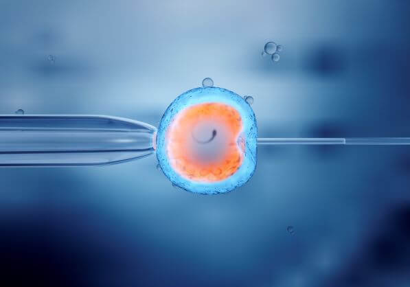 The IVF Cycle Deconstructed - Fertility Answers - Baton Rouge - Lafayette